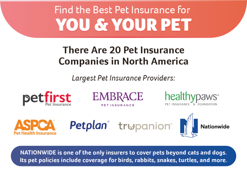 Being a Good Pet Parent Starts With Pet Insurance • Insurance Blog by ...